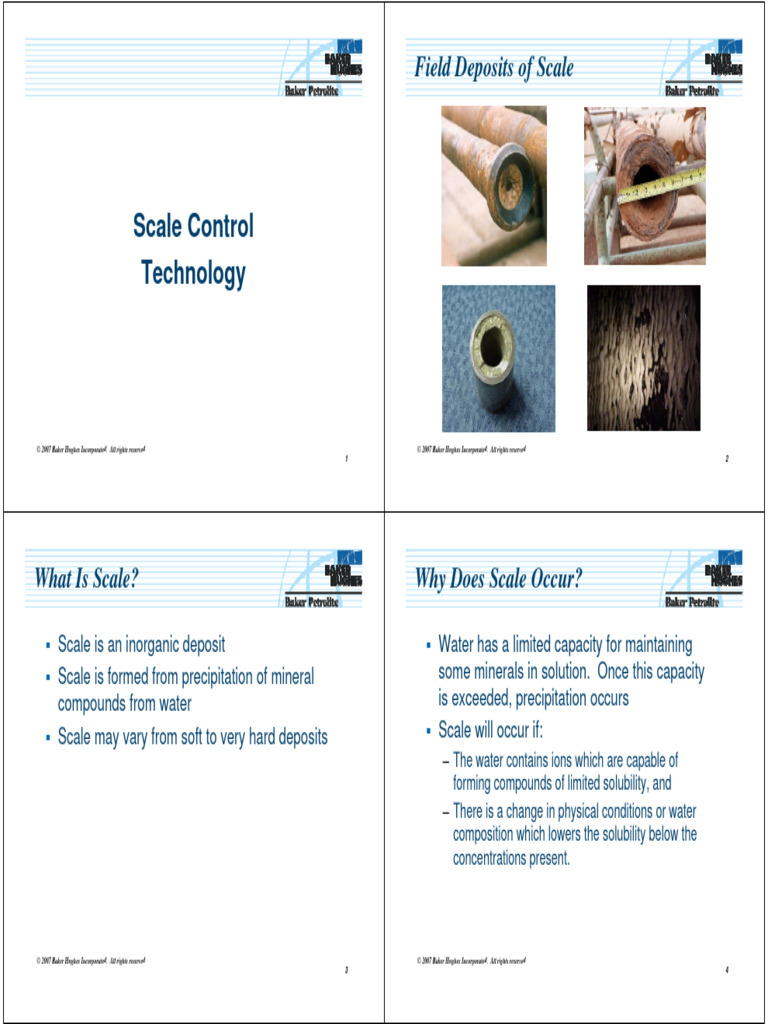 Scale Training half day | PDF
