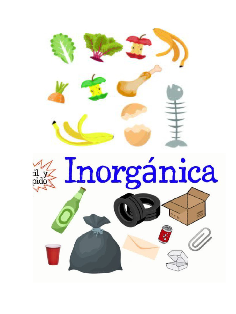 Basuraa Org-Inorg | PDF