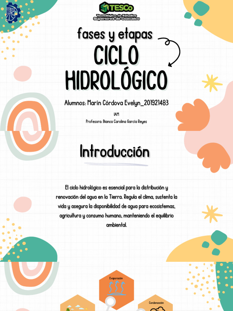 Presentacion Proyecto Creativo Organico Multicolor Pastel | PDF