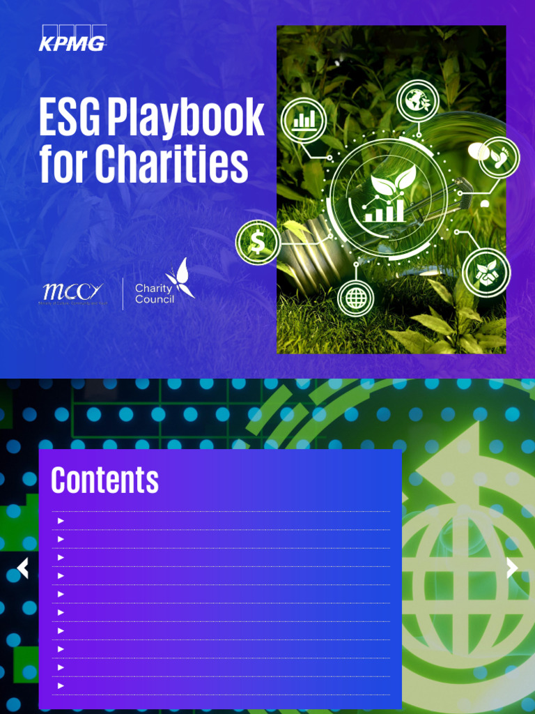 ESG Strategies for Charities Guide | PDF | Governance | Sustainability