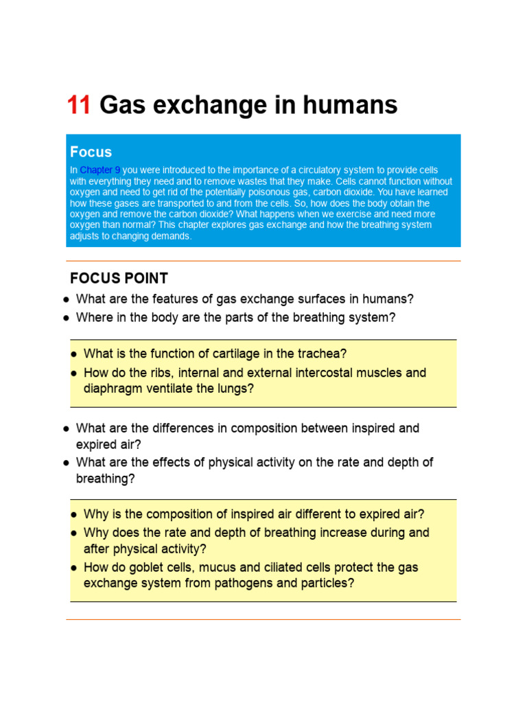 Textbook Chap. 11 Gas Exchange in Humans | PDF