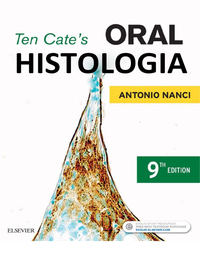 Ten Cate Histologia Oral | PDF