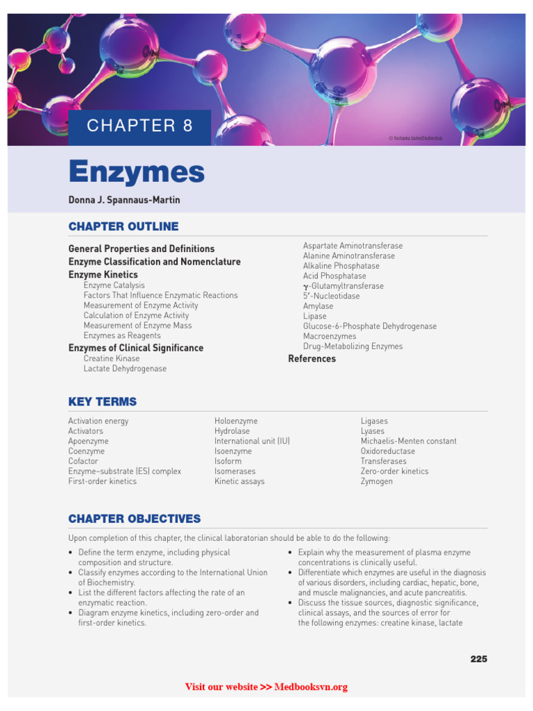 8 - Enzymes | PDF