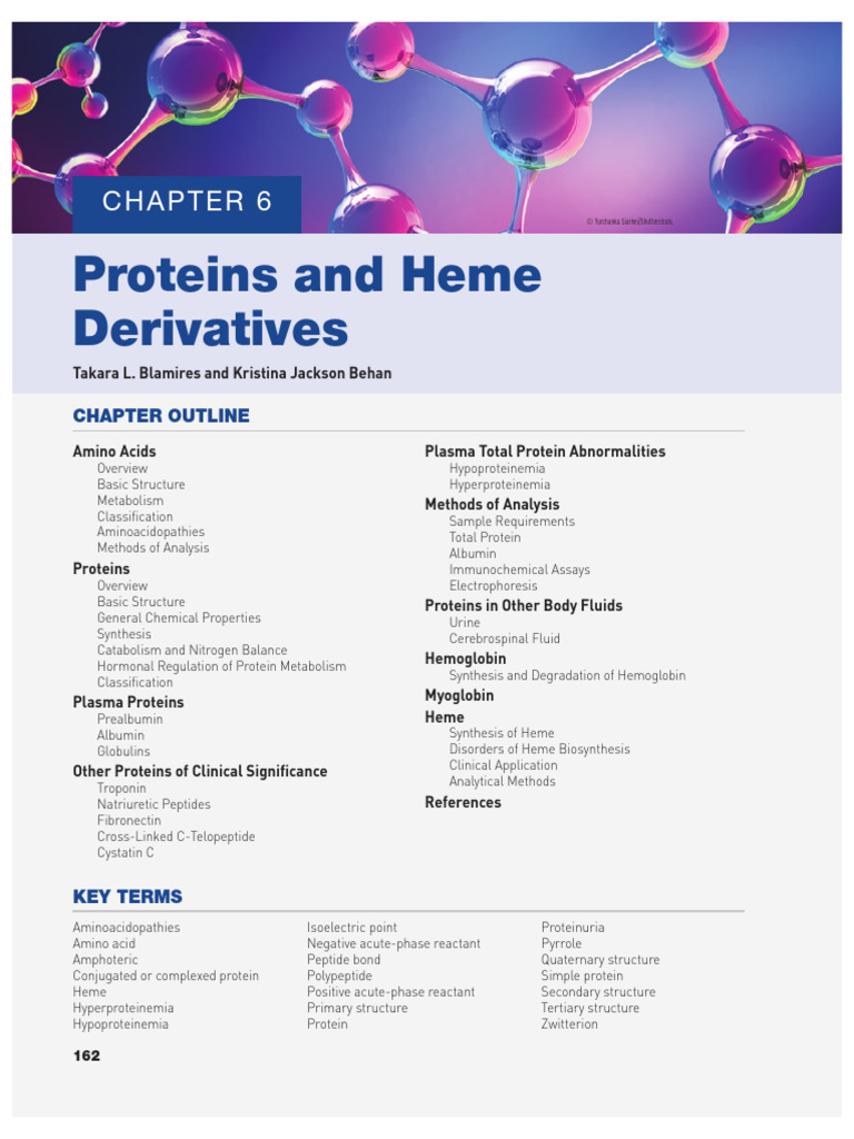 6 - Proteins & Heme Derivatives | PDF