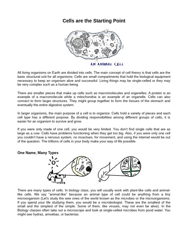 Cells Are The Starting Point | PDF | Cell (Biology) | Science & Mathematics