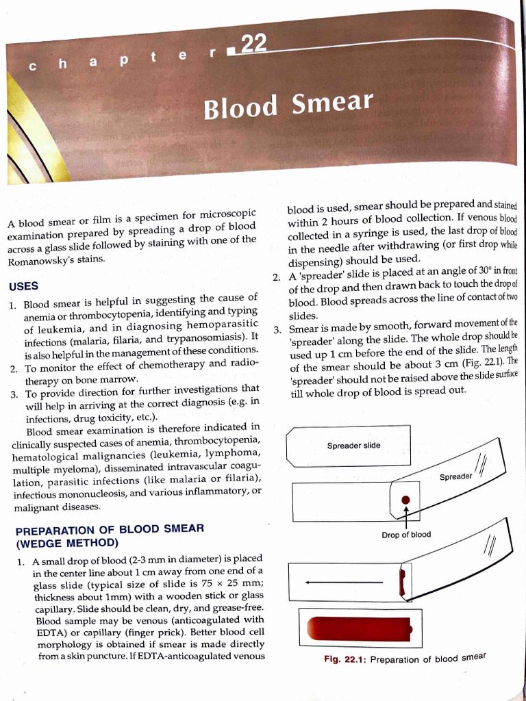 Blood Smear Pathology | PDF
