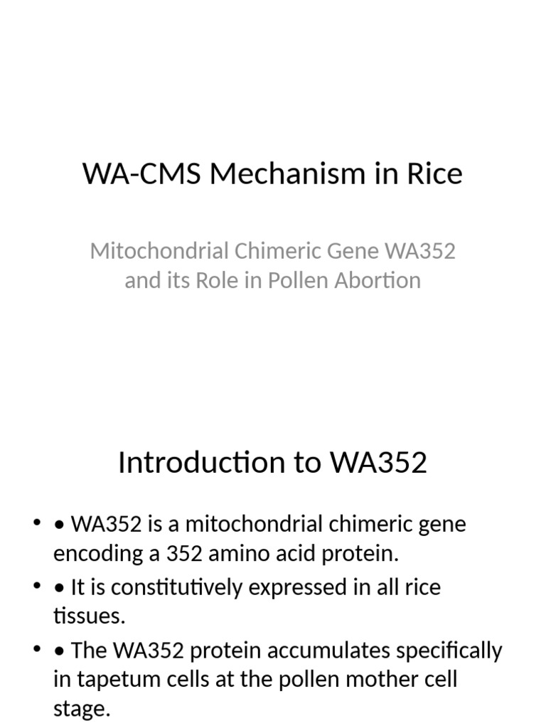 WA CMS Mechanism Presentation | PDF