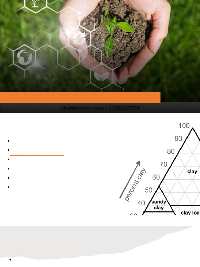 LEA REVIEW - Soil Chemical Properties | PDF