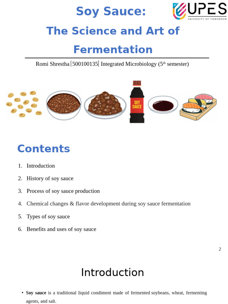Soy Sauce Fermentation Guide | PDF | Soy Sauce | Soybean