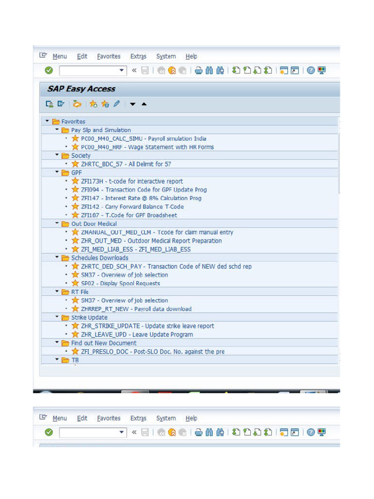 Pay Tcodes Screen Shots DTD 18.07.2023 | PDF