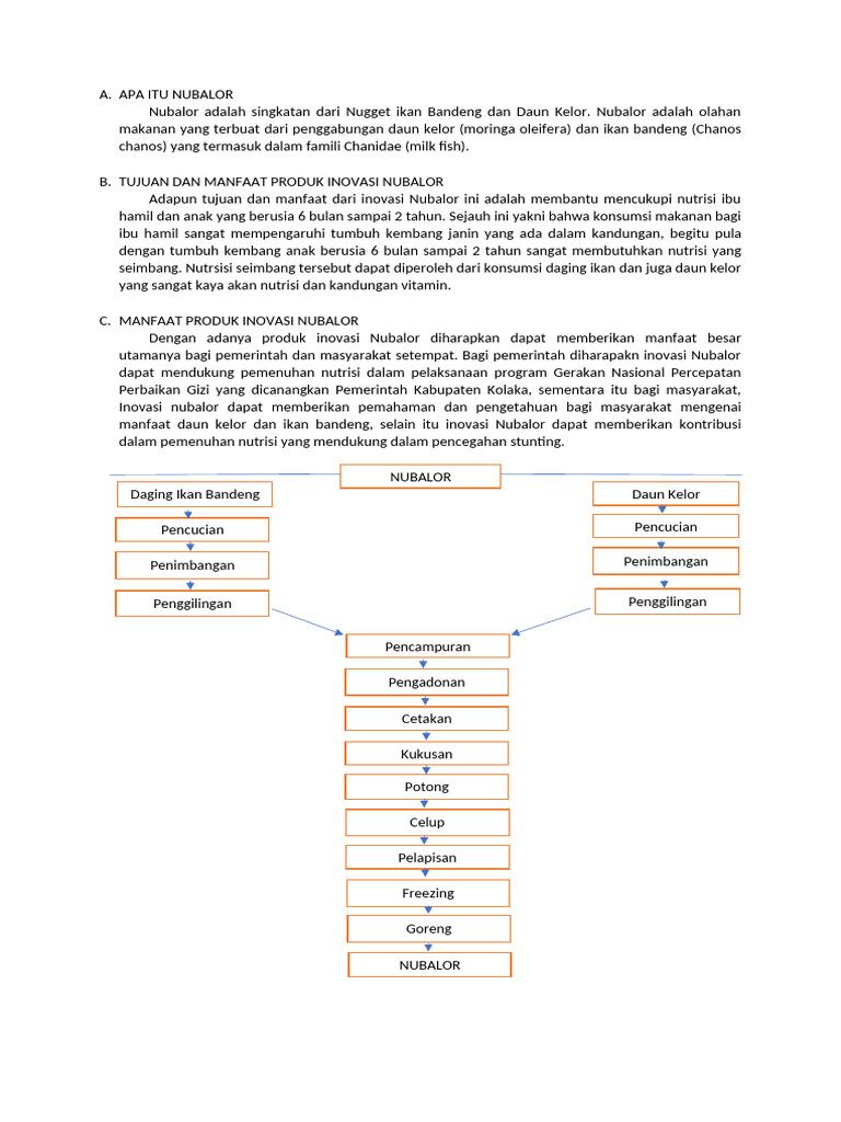 Apa Itu Nubalor | PDF