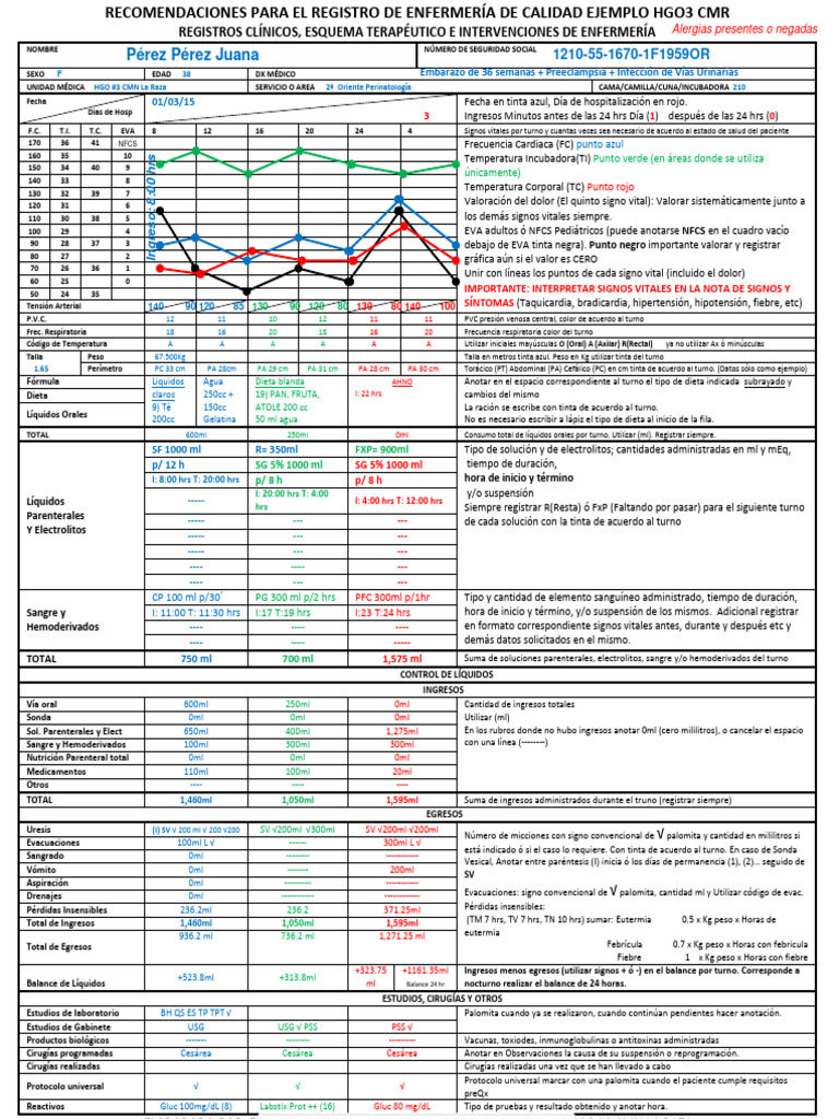 Hoja de Registros Clínicos | PDF
