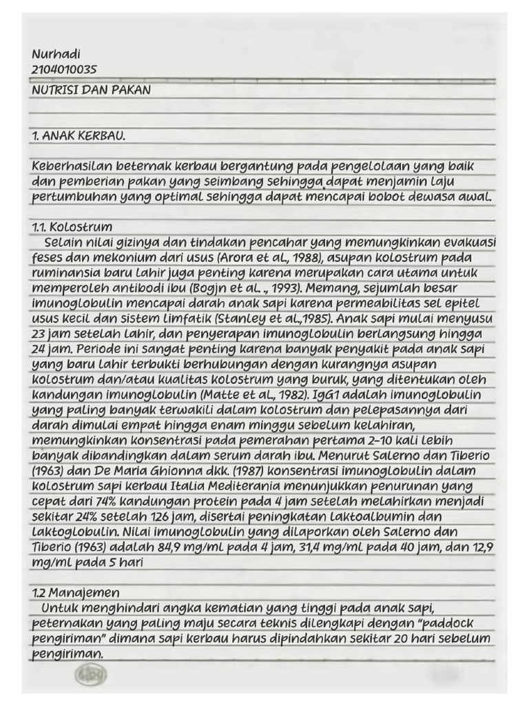 Tugas Kerbau Nurhadi | PDF