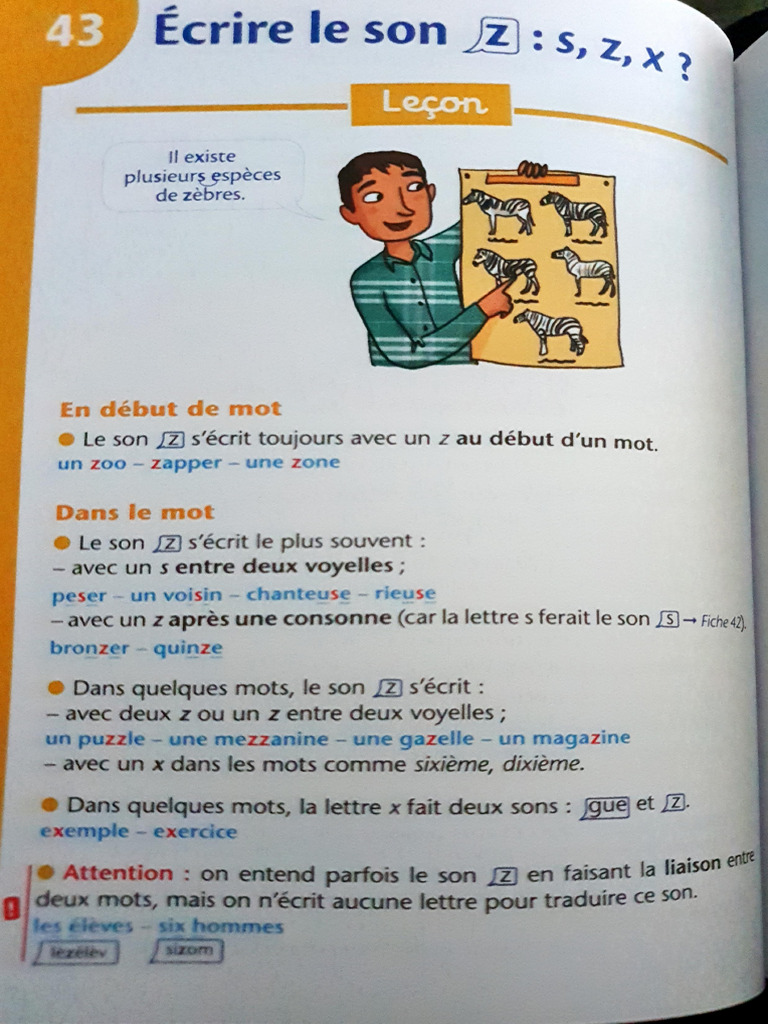 Le Son Z | PDF