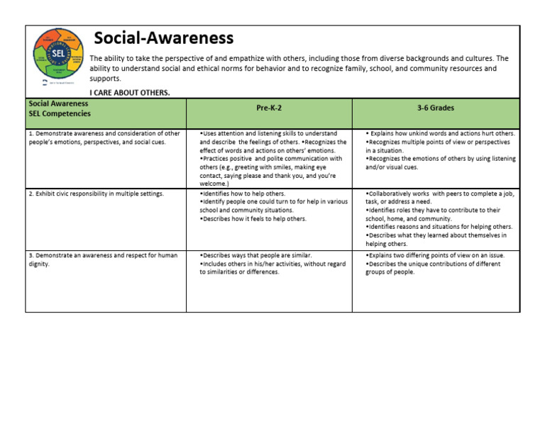Social Awareness | PDF