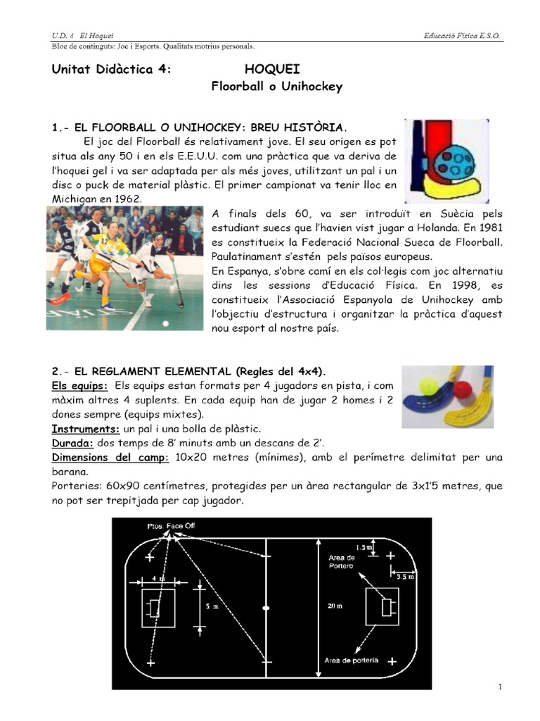 Floorball o Unihockey | PDF