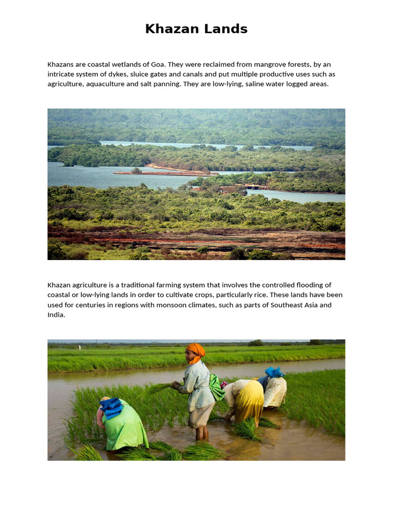 Evs Report Part 1 | PDF