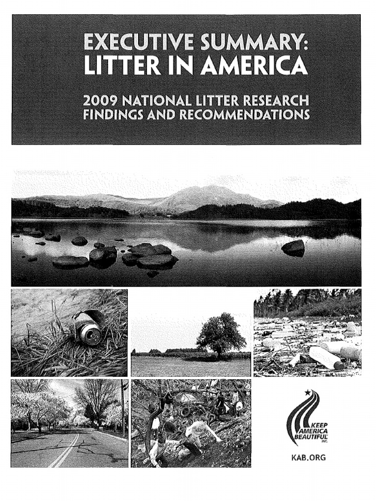 2009 National Litter Study, Funded by Keep America Beautiful | PDF ...