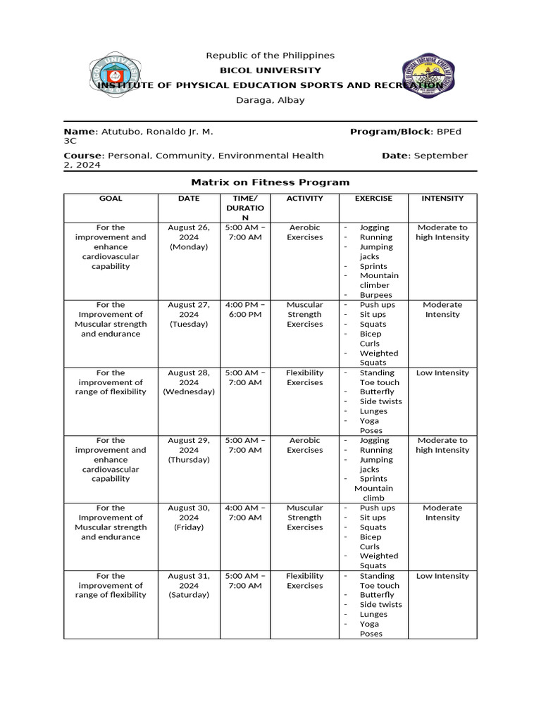 Matrix On Fitness Program | PDF | Physical Fitness | Aerobic Exercise