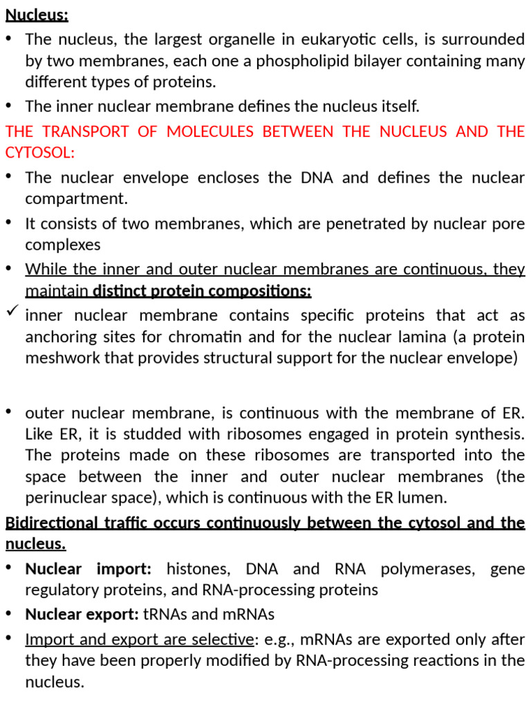 Nucleus | PDF