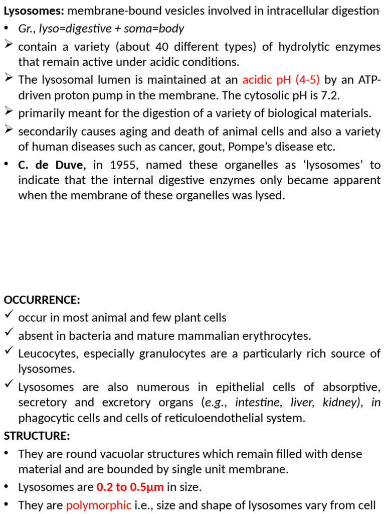 Lysosomes | PDF