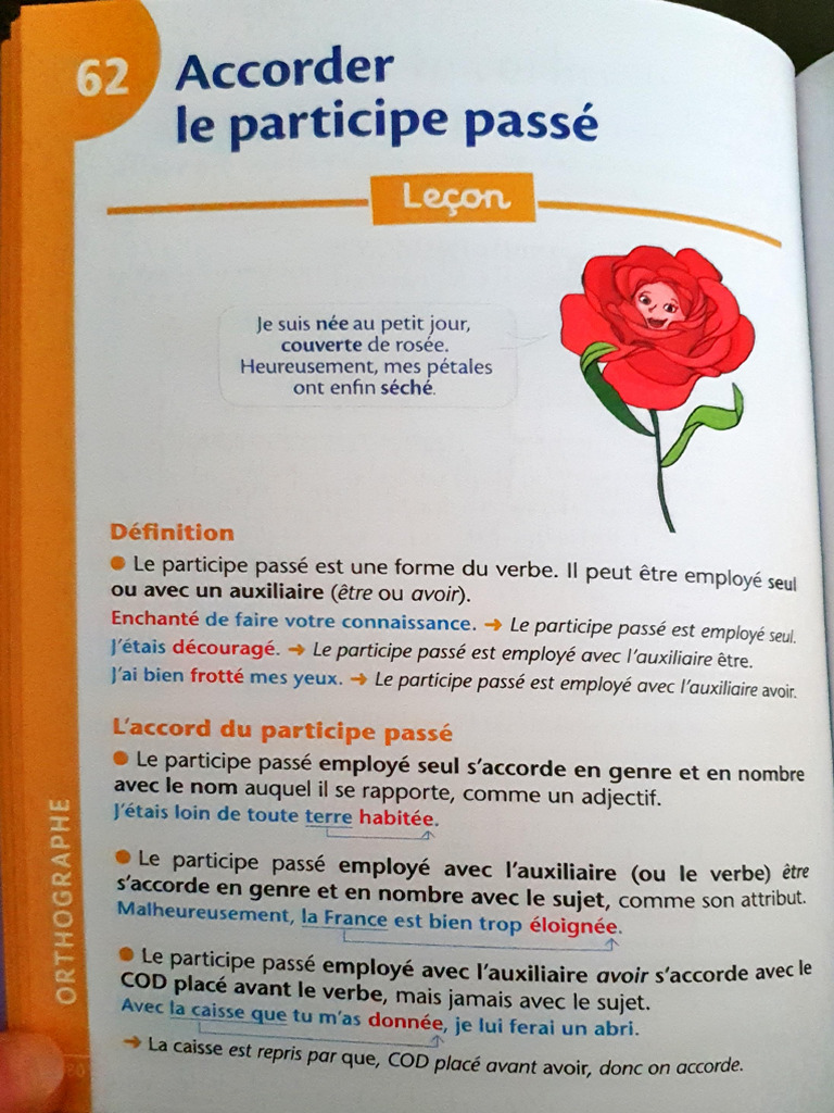 Accorder Le Participe Passe | PDF