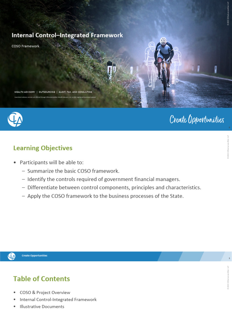 2. COSO Internal Controls | PDF