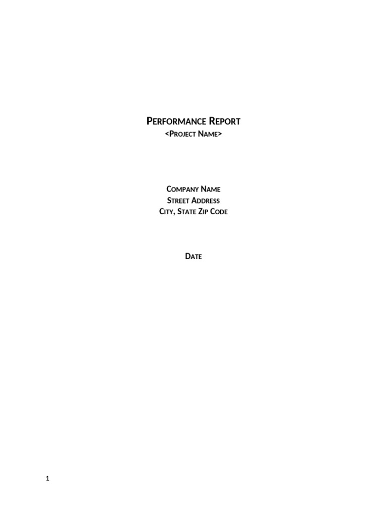 Performance Report | PDF