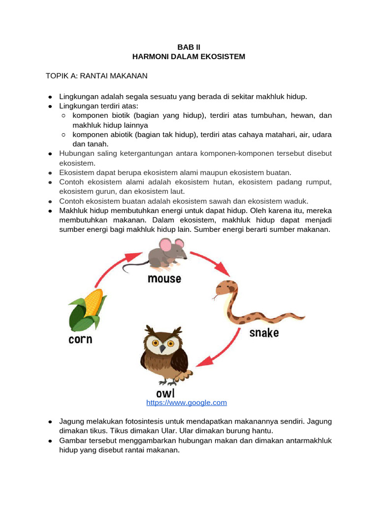 Ringkasan IPAS BAB II | PDF
