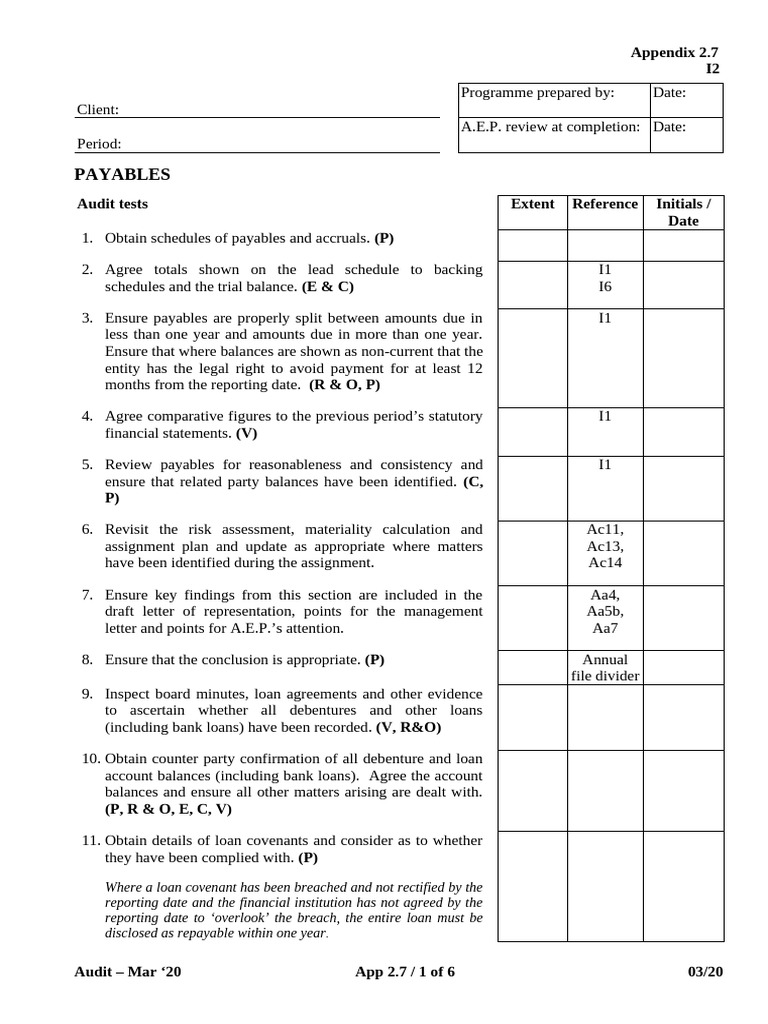 2.7 I2 Payables Audit Programme | PDF