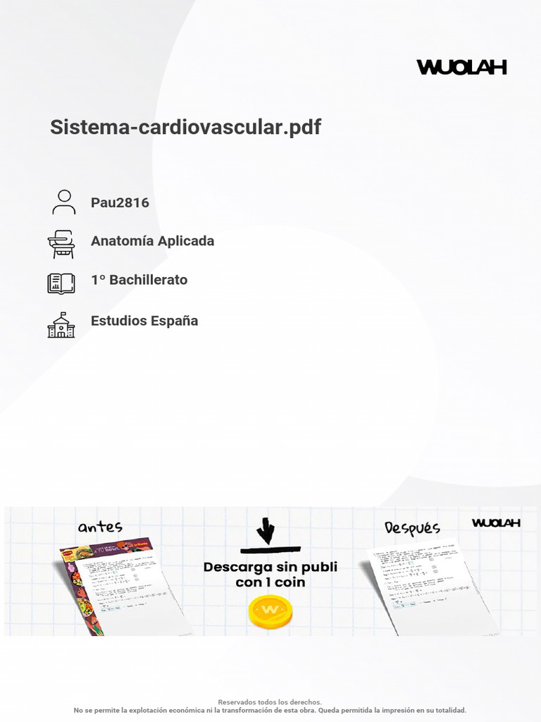 Sistema Cardiovascular | PDF