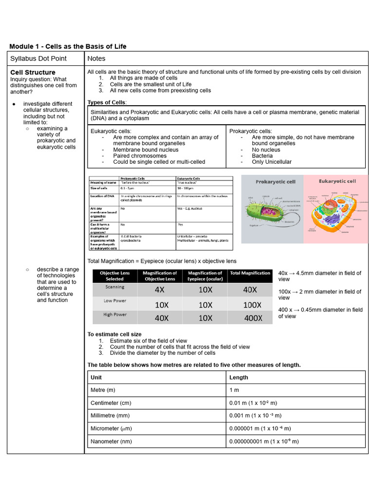 Year 11 Biology Notes - Full | PDF