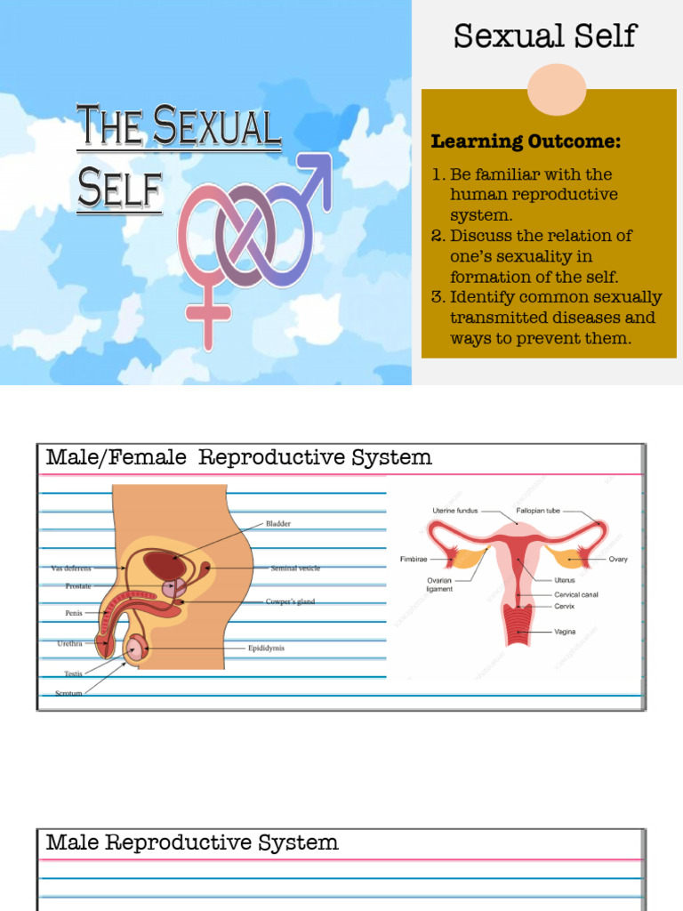 NU - UTS - Sexual Self | PDF