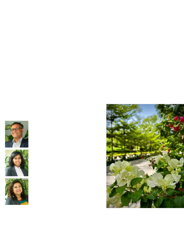 Guidelines For Urban Regeneration in India - Samir Mathur | PDF