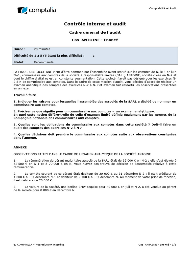 Cas 1 Cas General Audit Cas Antoine | PDF