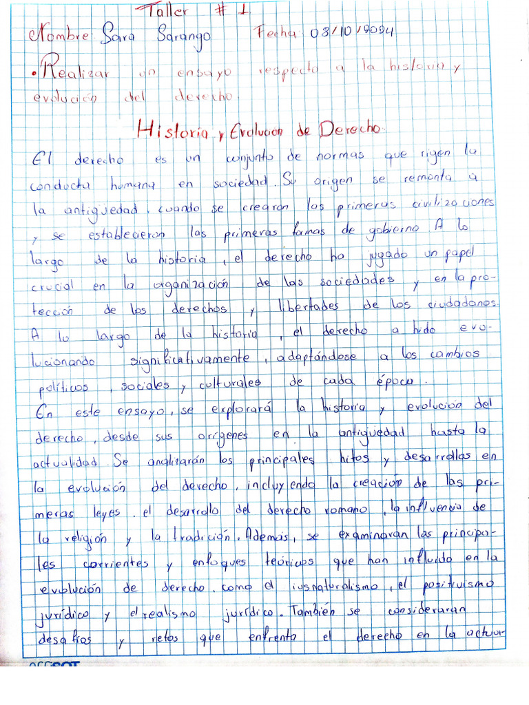 ACE Scanner_2024_10_08 | PDF