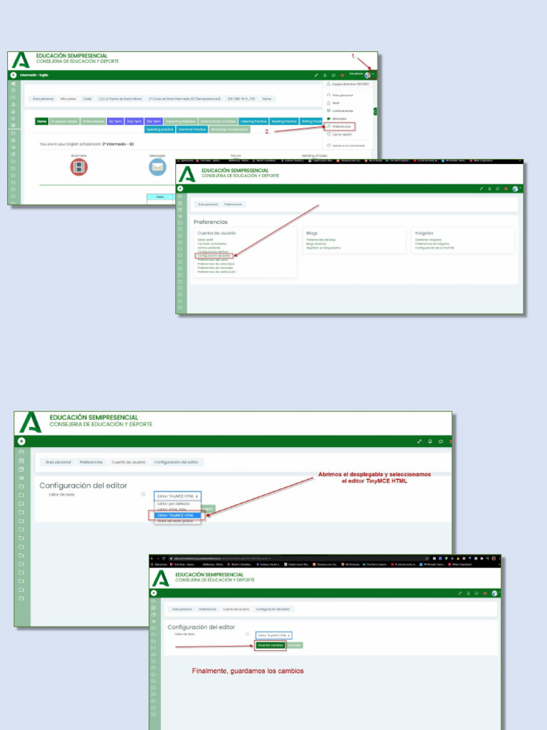 Editor Tiny - Herram Video | PDF