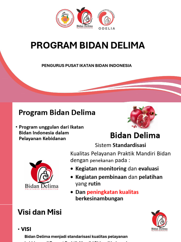 Program Bidan Delima 2024 | PDF