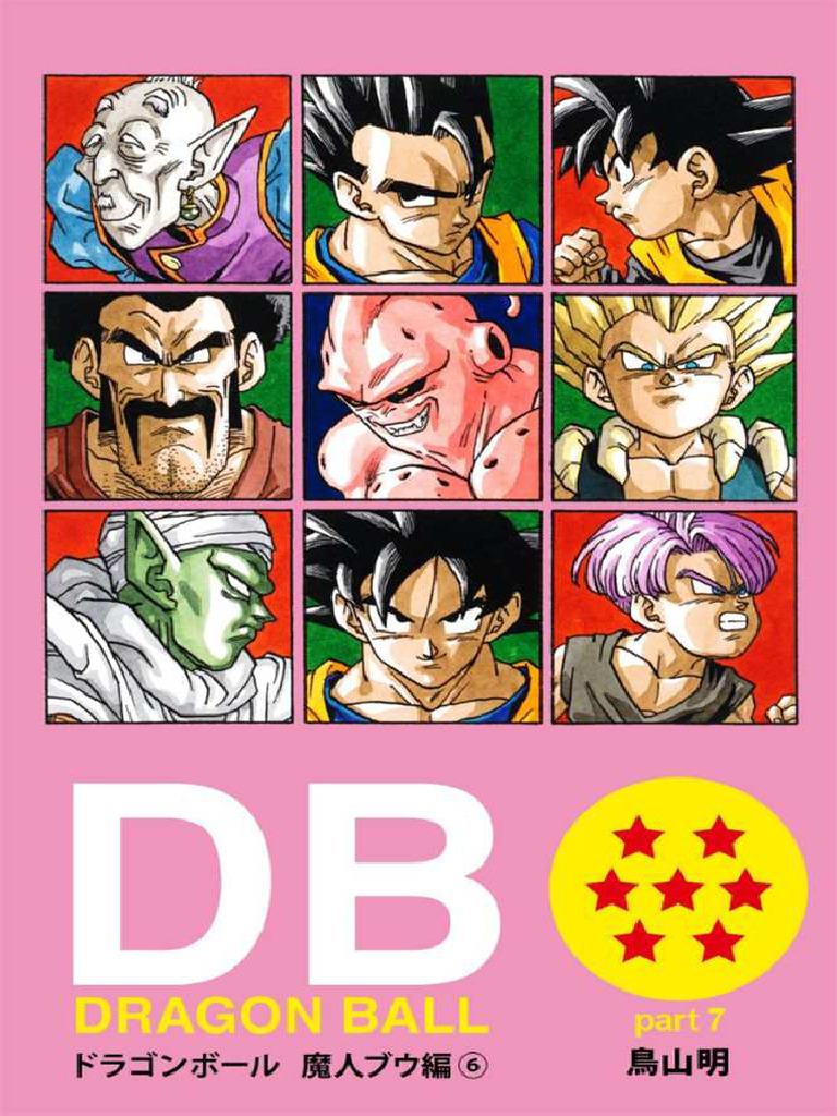 Dragon Ball Digital Color Vol 41 | PDF