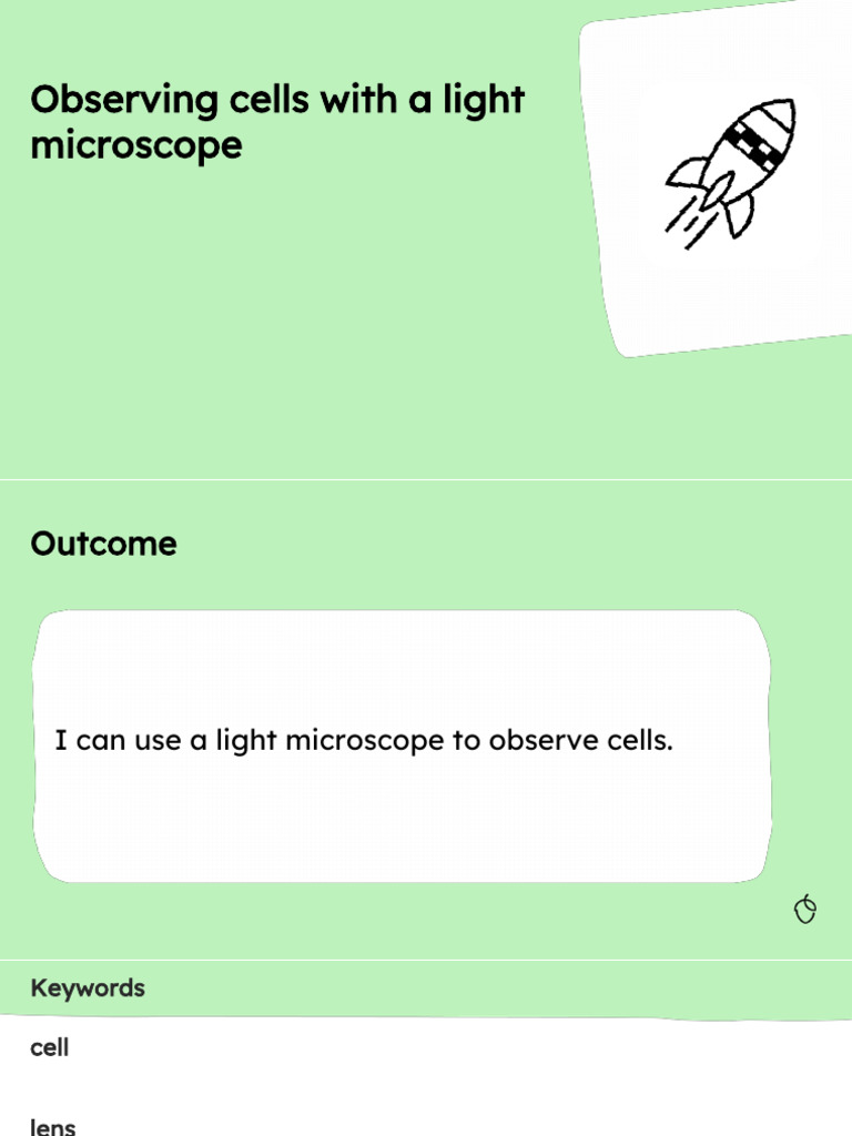 Observing Cells Using A Microscope | PDF | Microscope | Equipment