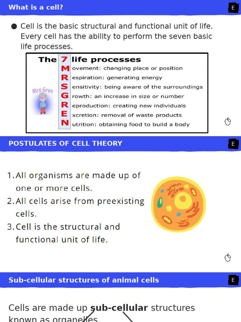 Cells and Cell Organelles - Notes | PDF