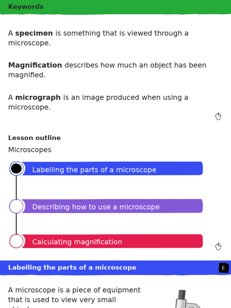 Microscope - Notes | PDF