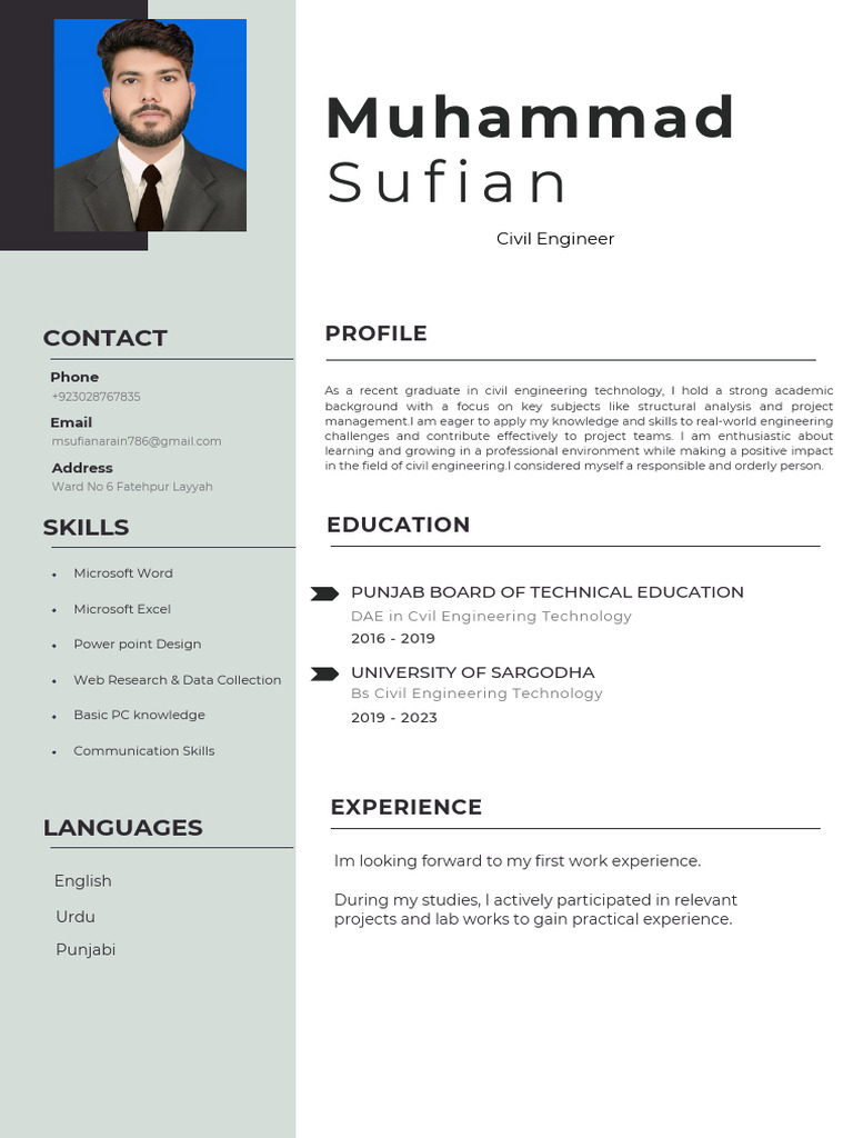 Aspiring Civil Engineer Profile | PDF