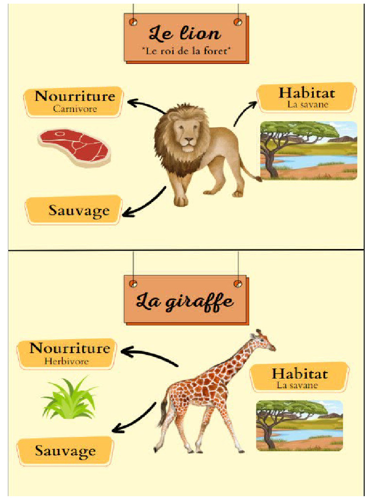 le lion | PDF