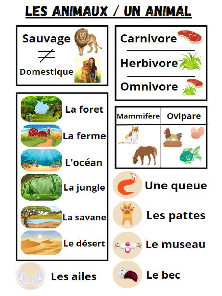 décrire un animal | PDF