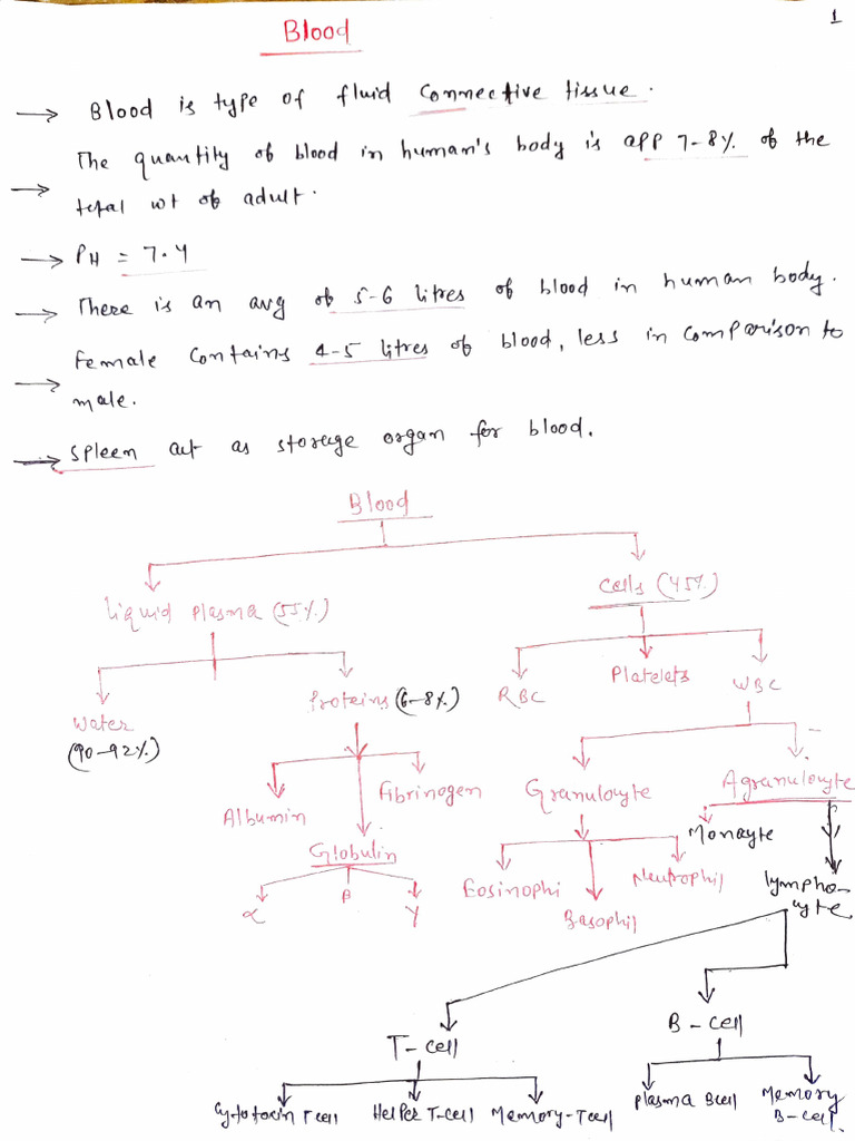Blood (Circulatory System) - 3 | PDF