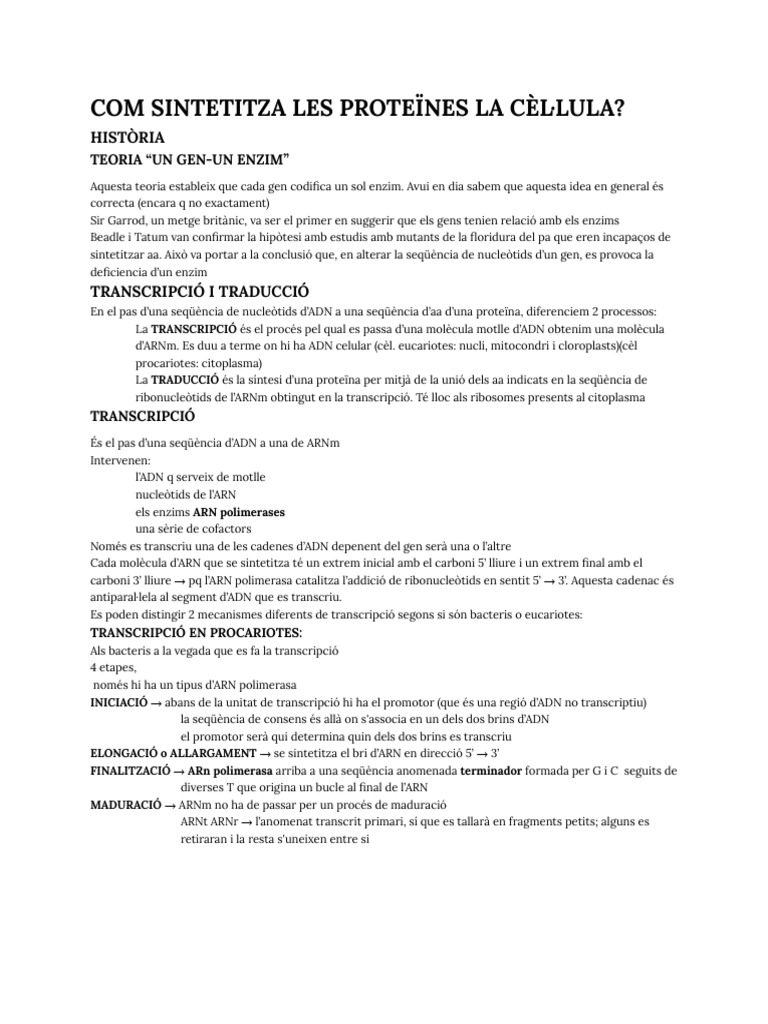 Com Sintetitza Les Proteïnes La Cèl Lula | PDF