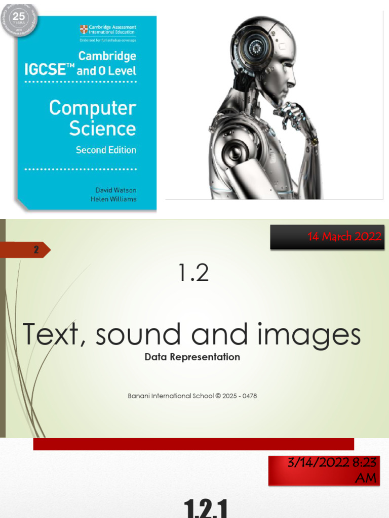 1.1. Binary System | PDF