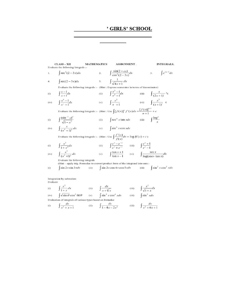 Class 12 Worksheet, 2024 | PDF