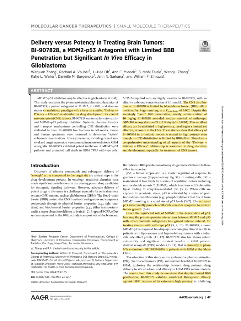 Delivery Versus Potency in Treating Brain Tumors-William Elmquist | PDF ...